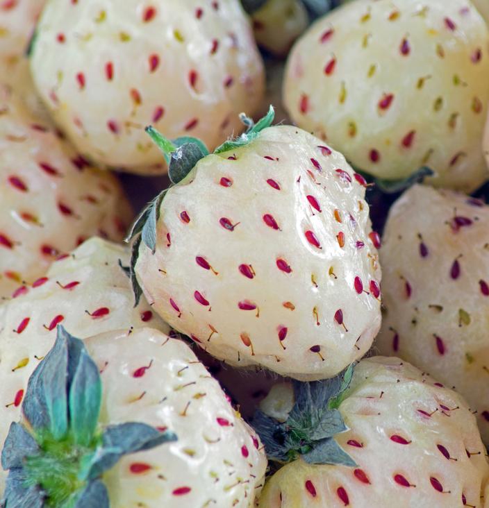 La couleur de ces fruits va vous étonner