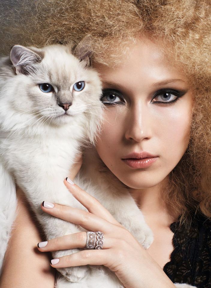 La stratégie cat woman