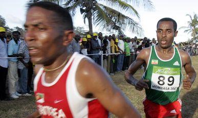 Tadesse mate Bekele
