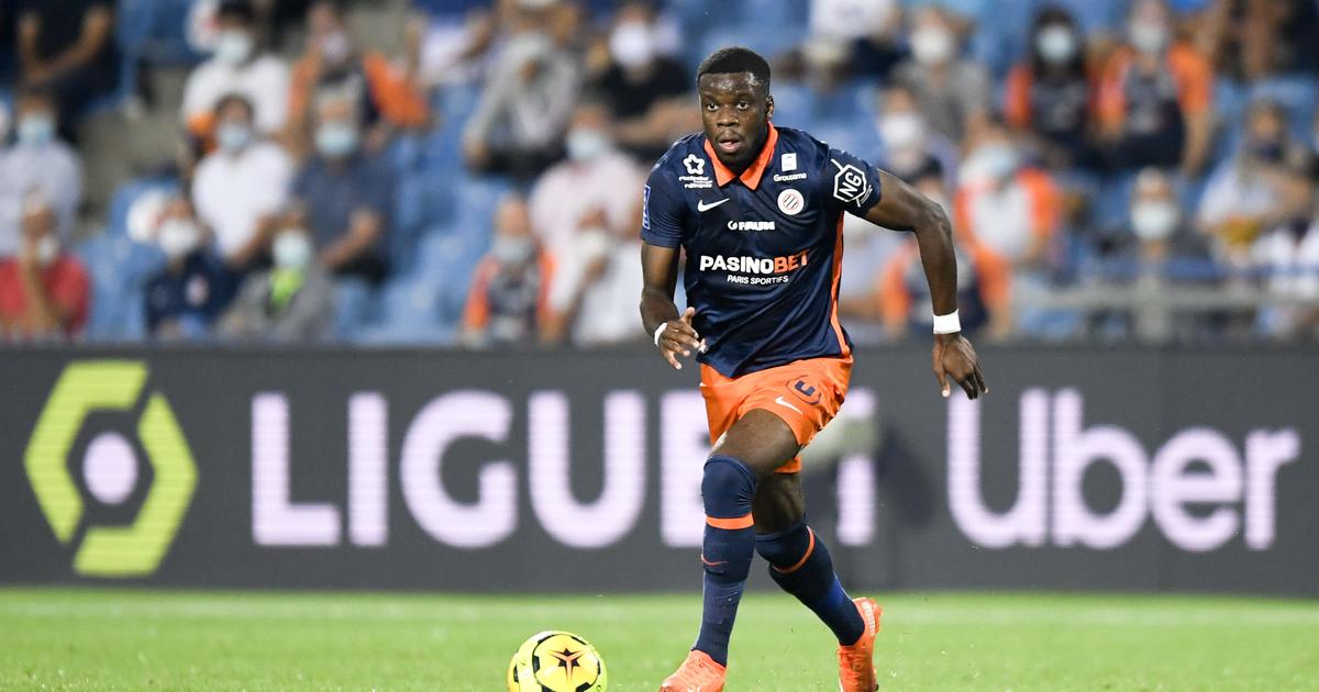 Stephy Mavididi fait son nid à Montpellier